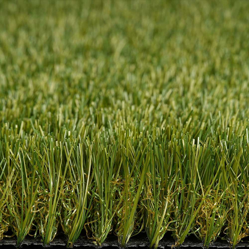 MT-Charming - Mighty Grass