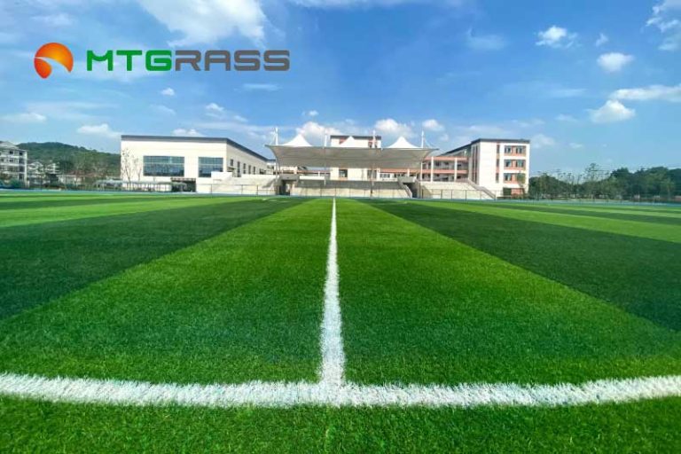 Artificial Turf vs Natural Grass | Hidden Costs Explained