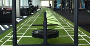Gym Turf & Sled Turf Manufacturer | Custom Sprint Tracks, 2m/2.5m Rolls ...