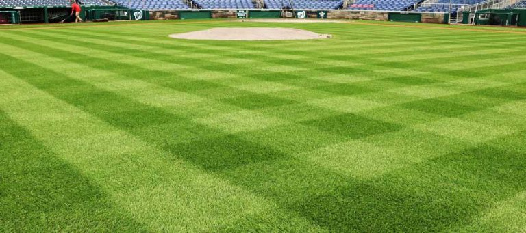 Why MLB Baseball Fields Are Switching to Artificial Turf | Expert ...